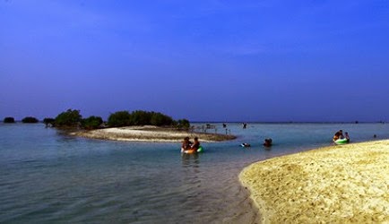 Pulau Pari Keindahan dan Keunikan yang Berbeda di Taman Nasional Laut ...