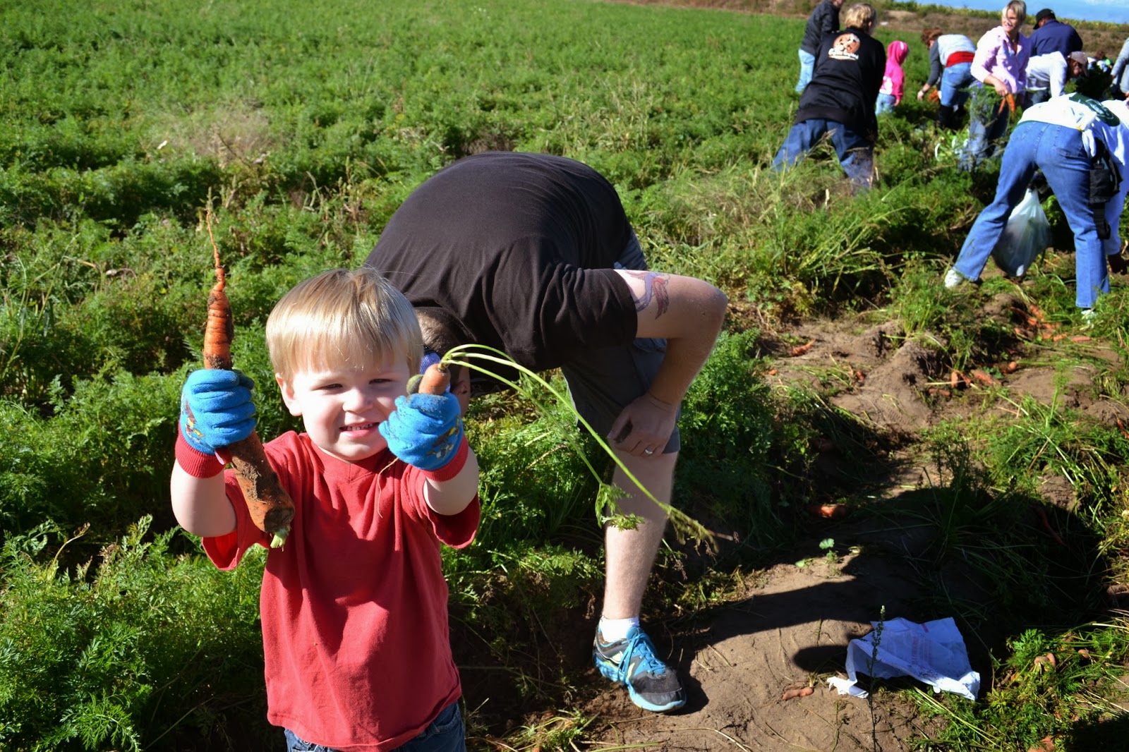 Miller Farms - Platteville Colorado - Building Our Story