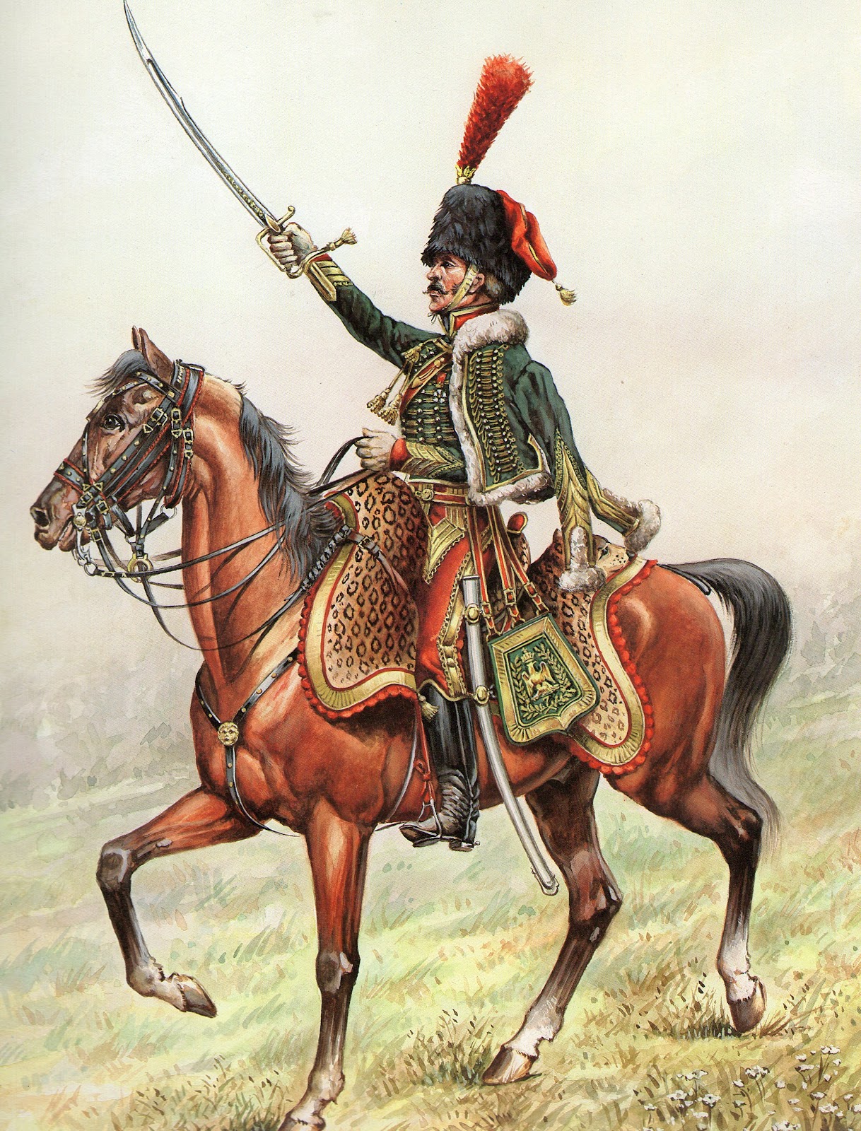 la biblioteca militare: Gli ussari napoleonici nelle tavole LE CIMIER