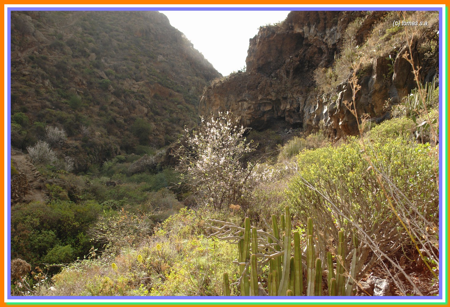 Tenerife senderos......: TENERIFE SENDEROS --GUIA ISORA-- EL JARAL -LAS ...