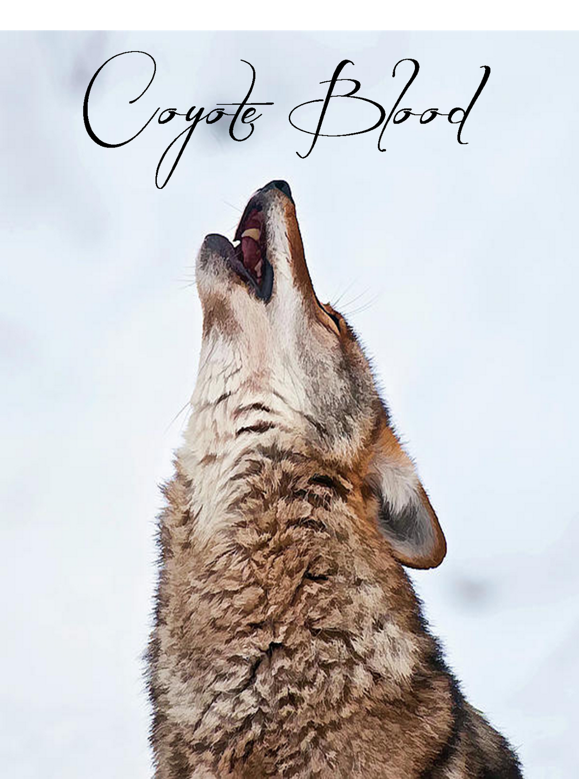 COYOTE BLOOD: December 2012