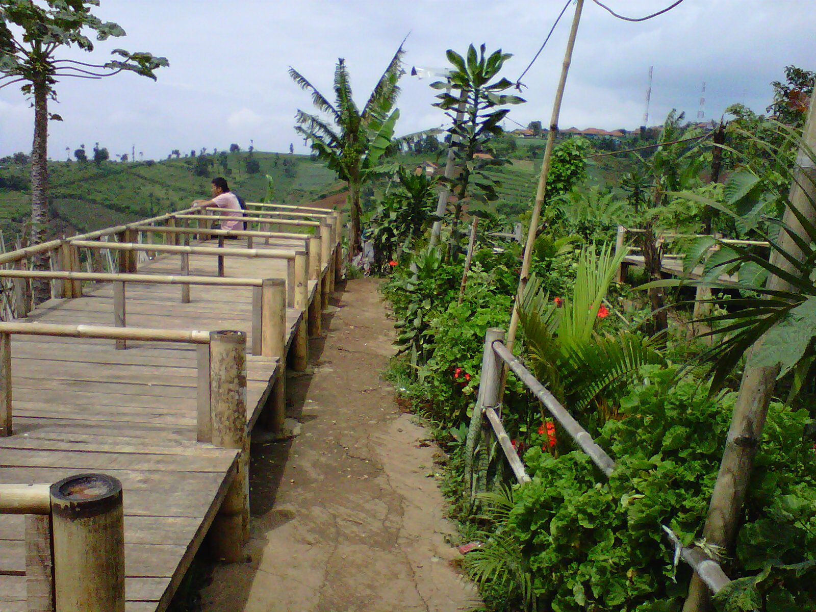 Aneka Rupa: Cartil (Caringin Tilu) alternatif tempat nongkrong ...