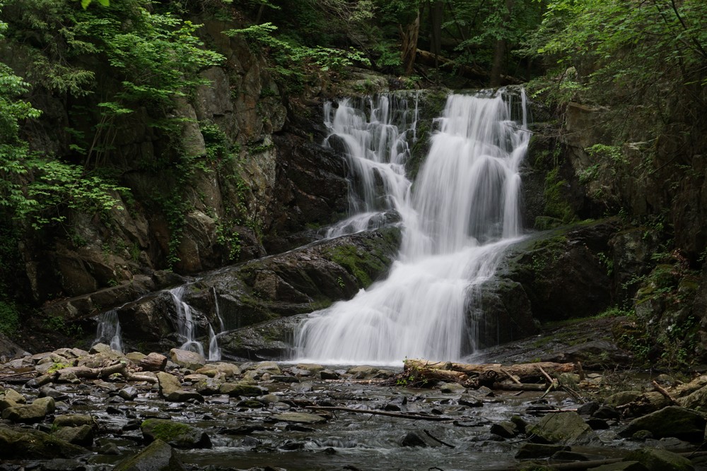Harriman Hiker: Harriman State Park and Beyond: Constitution Marsh ...