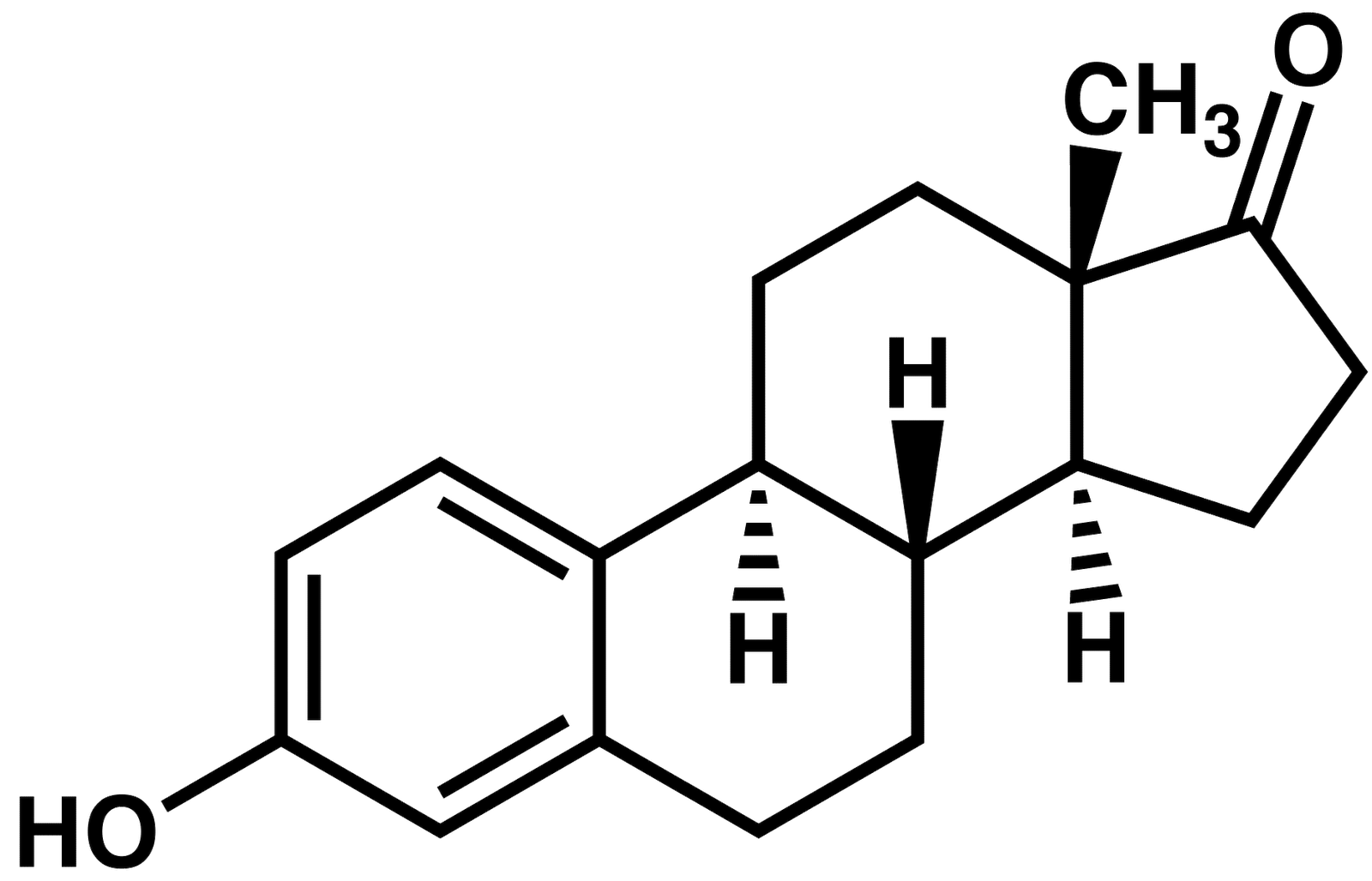 JAMU GODOG KENDHIL KENCANA: Hormon Estrogen 1