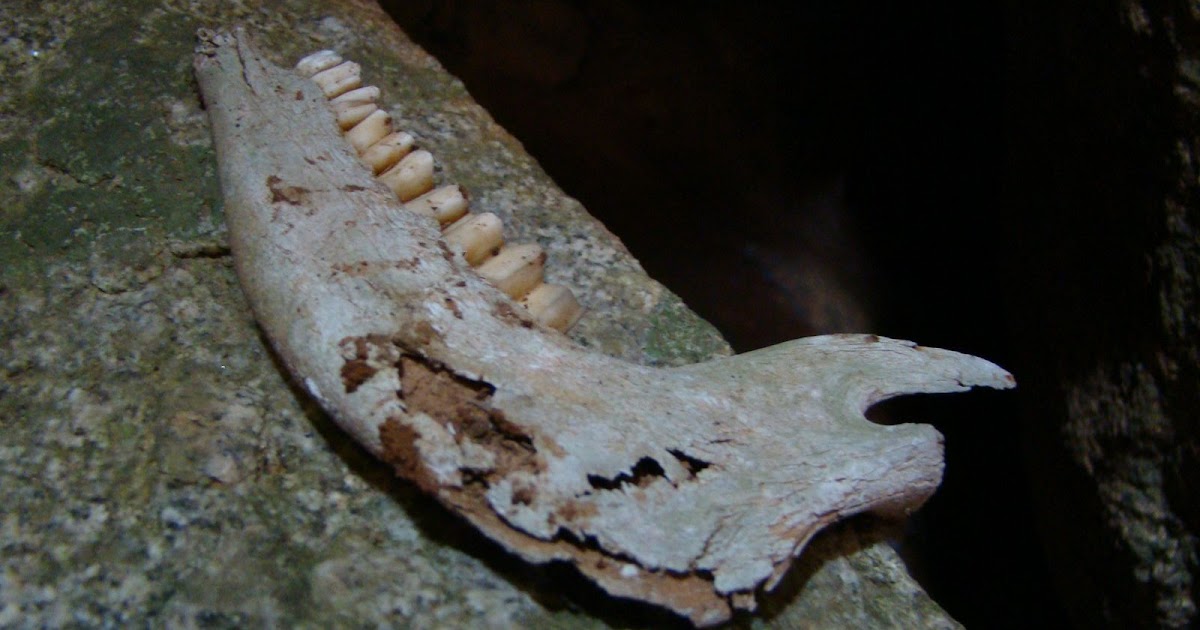 Cave Exploration at Antaragange, near Kolar, Karnataka - eNidhi India ...