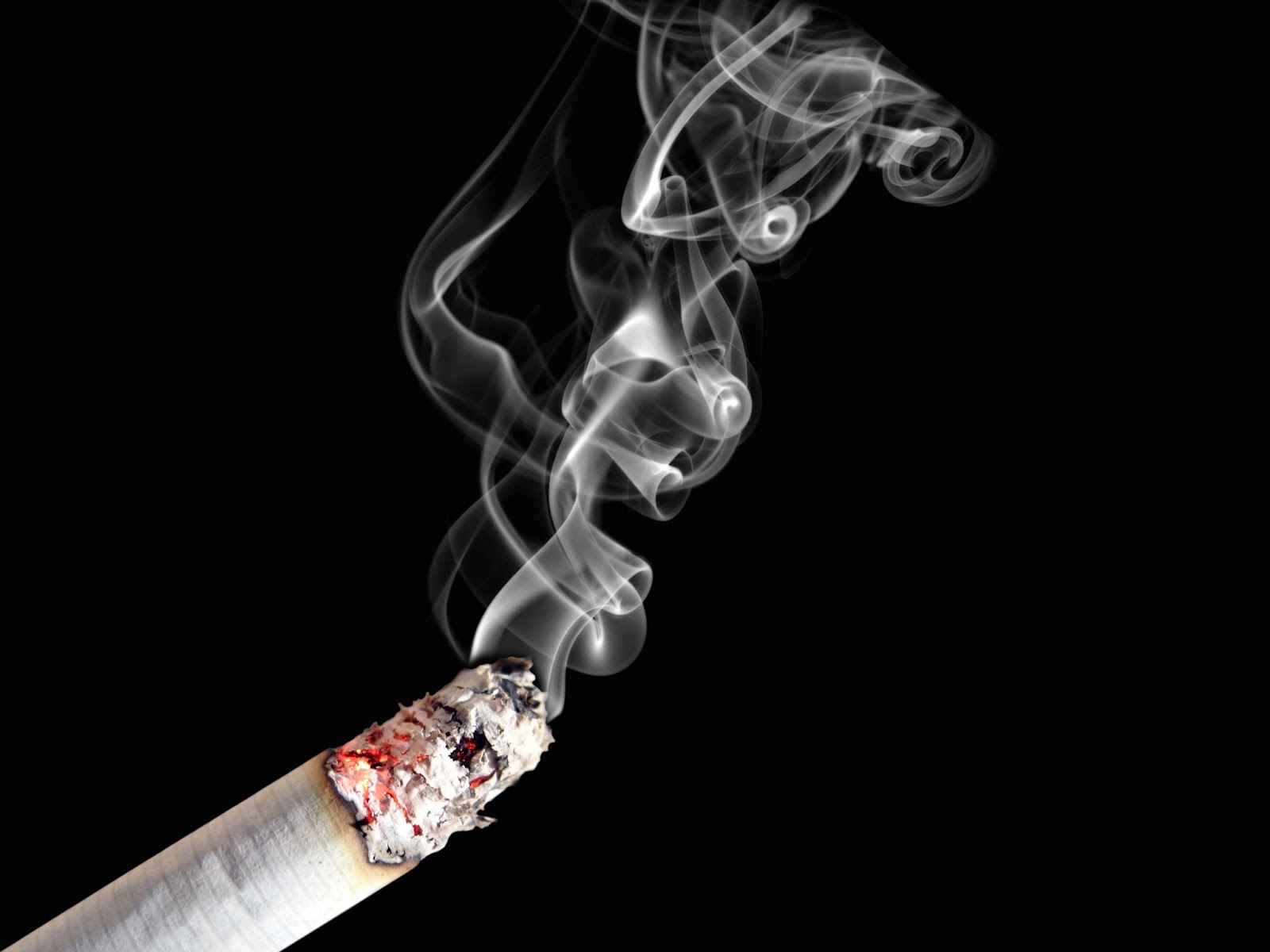 aneh92: Hindari Gemuk dengan Jauhi Asap Rokok