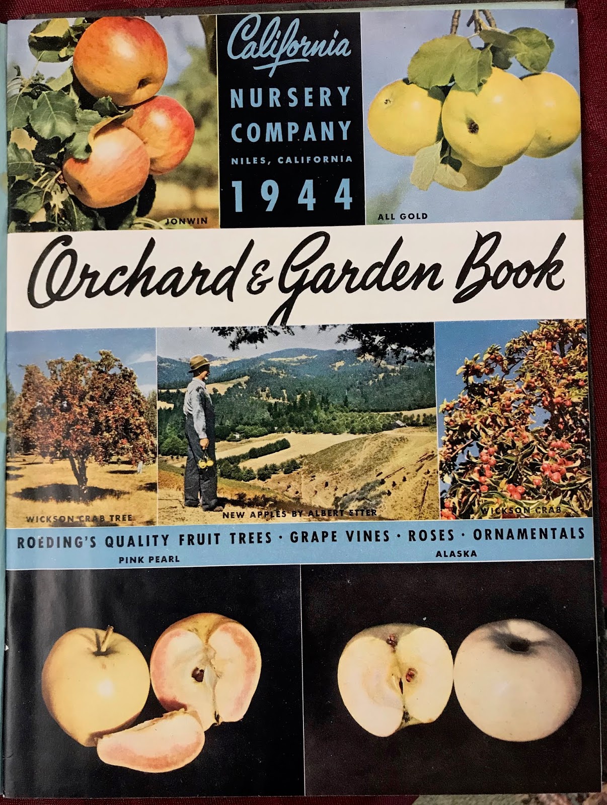 Albert Etter's Apples