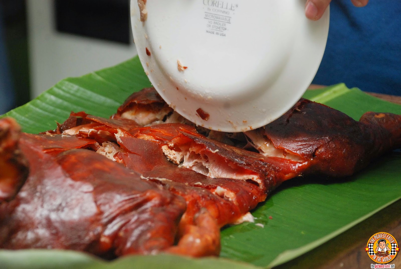 THE PICKIEST EATER IN THE WORLD: WHO IS MR. COCHINILLO?