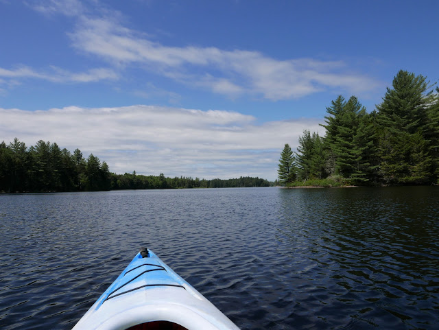 A Little Wild: Little Tupper Lake and Owls Head; Long Lake Favorites