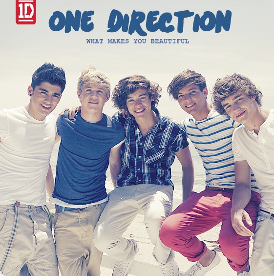 Photo One Direction - What Makes You Beautiful Picture & Image | Photo ...