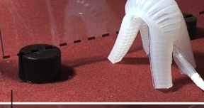 Biomimetic Soft Robots Mimics Nature To Dynamically Change Color