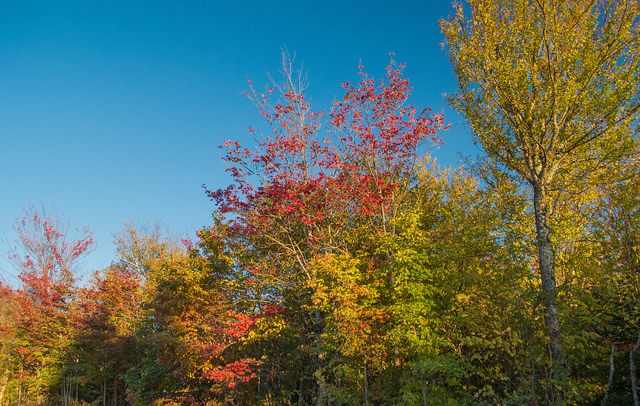 Mike's Blog: The 3 Must Have Filters for Your Camera Bag