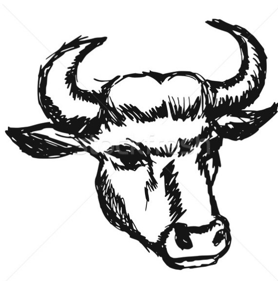 Gazda Praktikum: Szarvasmarha tartás