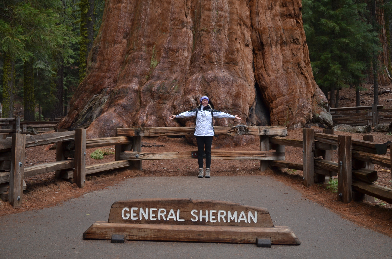 Aber and Out: Aber and Out West: Sequoia National Park