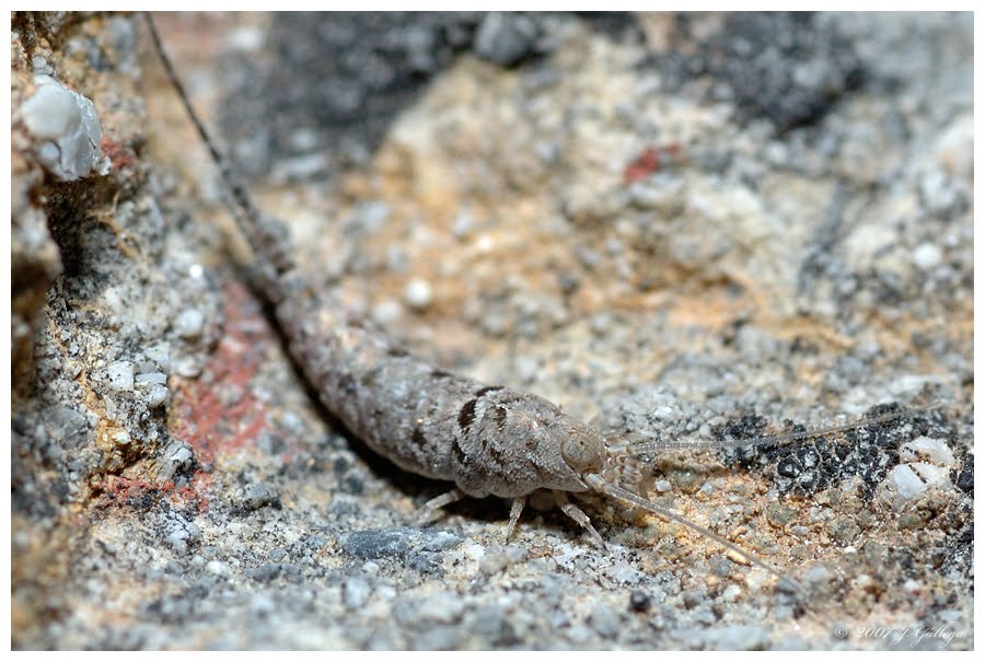 macroinstantes: 2012