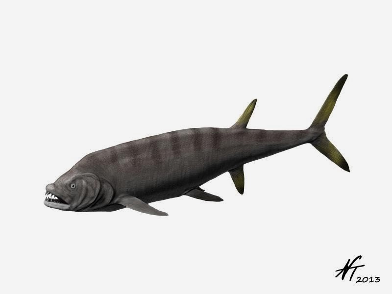 Xiphactinus Audax Mortal