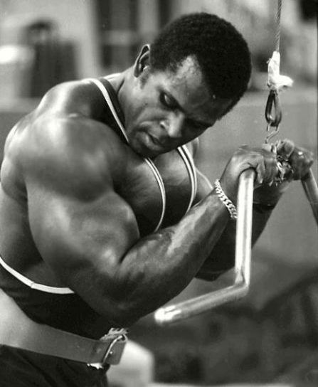 The Pyramid Training Program. By John Bubb, former NABBA Pro ...