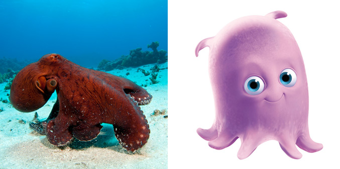 Real Fish Versus Finding Nemo Fish | Finding nemo, Finding nemo 2003 ...