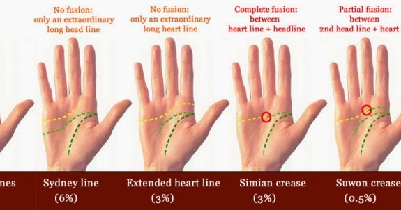 Awesomequotes4u.com: Palmistry : Know People By Looking At Their Palms