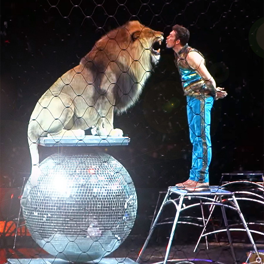 Sirk nedir ne demektir? Kısaca anlamı - Laf Sözlük