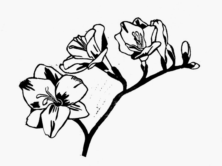 Thomas Radovich T-Shirts: Freesia