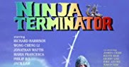 Review: Ninja Terminator