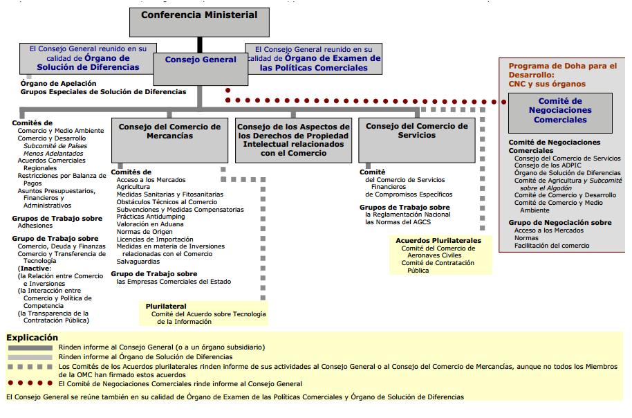 ¿Y TU QUE SABES DEL COMERCIO?: ESTRUCTURA DE LA OMC