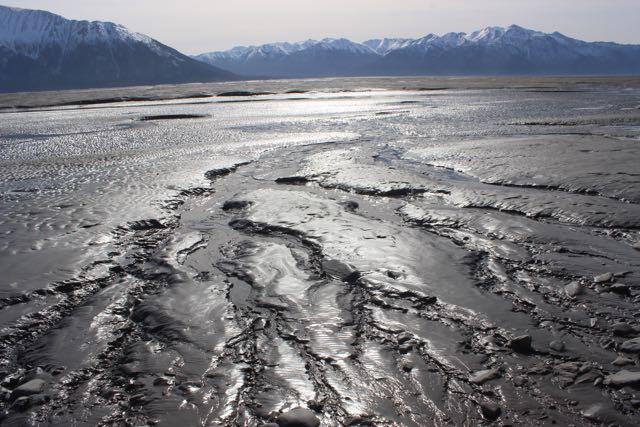 What Do I Know?: Turnagain Arm Mudflats - A Favorite Beach Walk Has ...