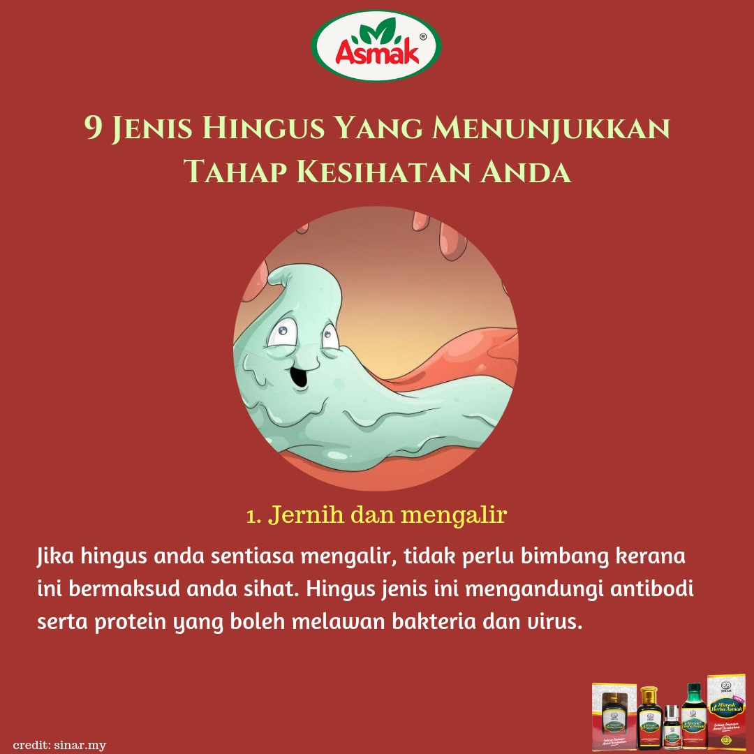 9 jenis hingus yang perlu anda ketahui - | ANAK KEDAH