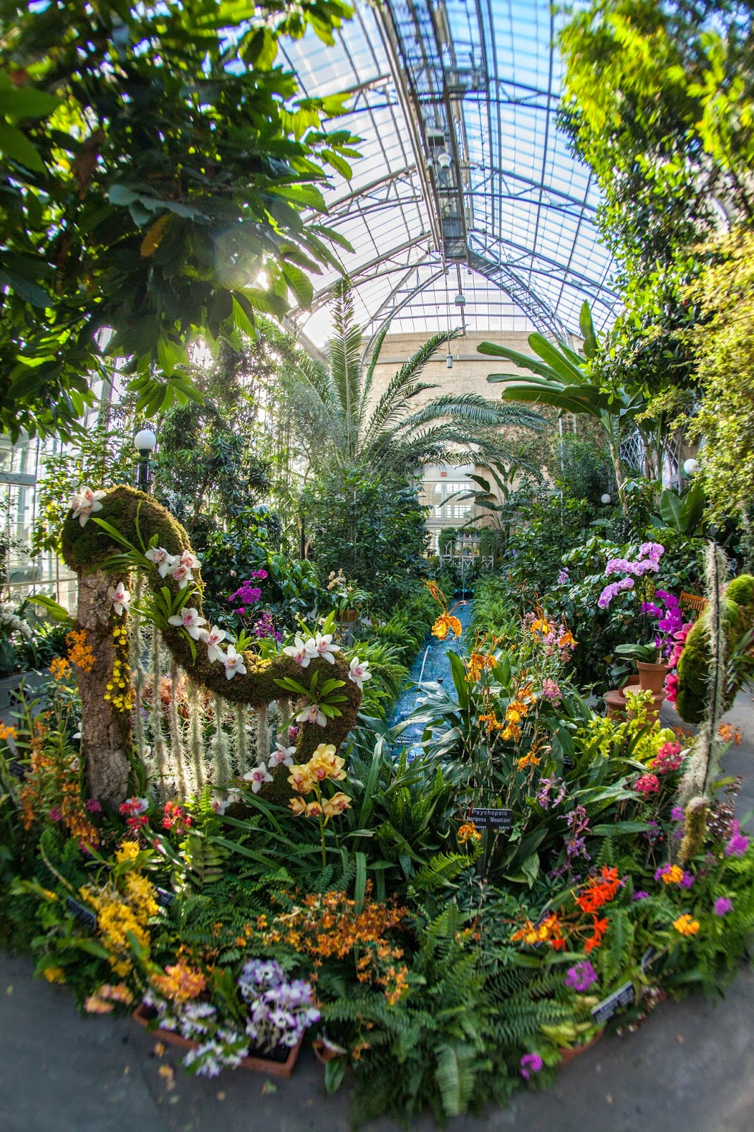 My Musings: National Botanical Gardens