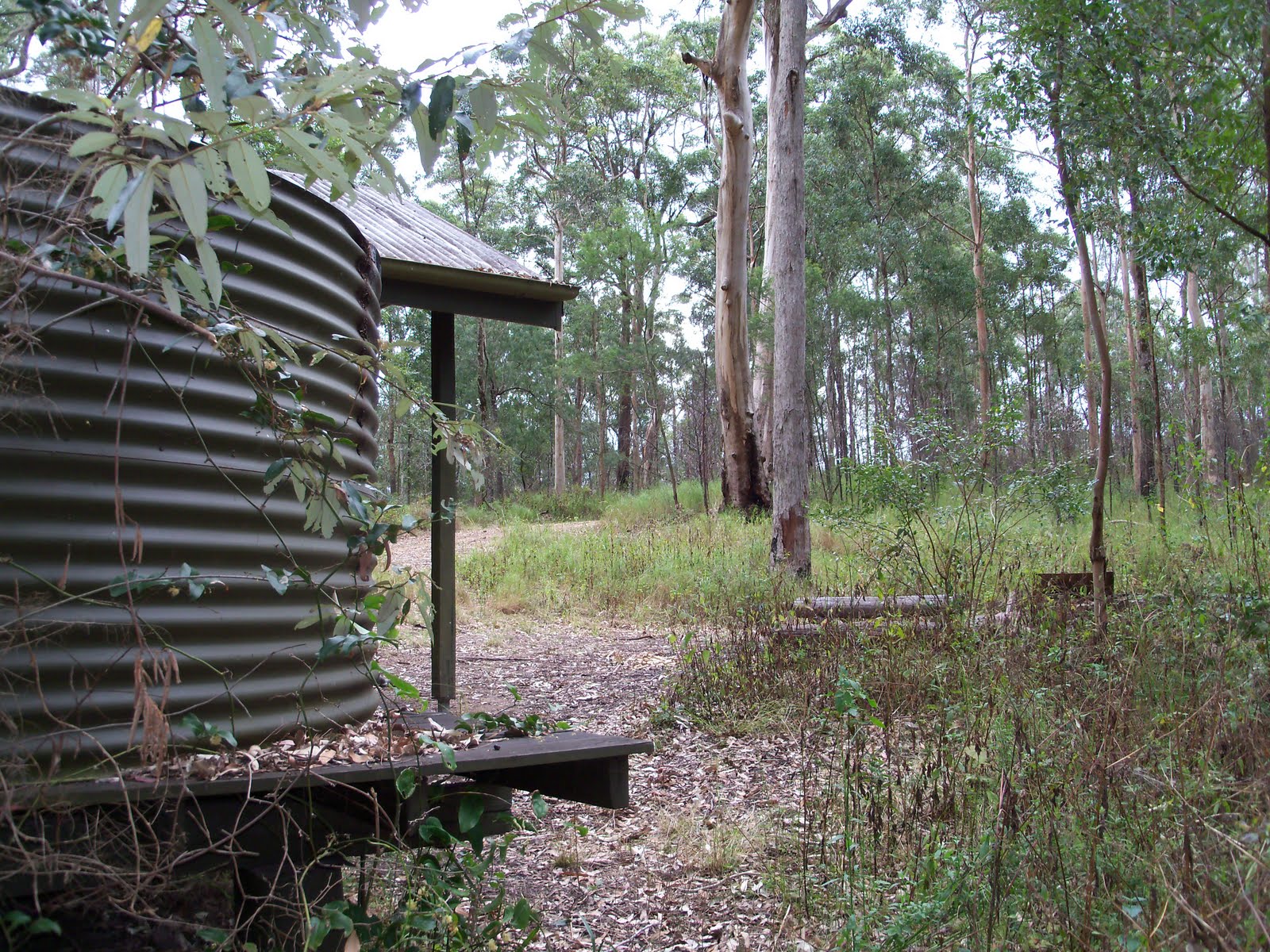 Bushwalking in Brisbane Forest Park (D'Aguilar): South Boundary Road to ...