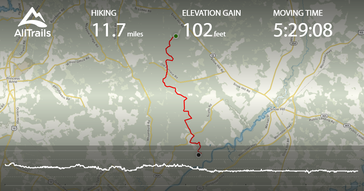 Natural Mid-Atlantic : MD Pocomoke State Forest, Algonquin Cross County ...