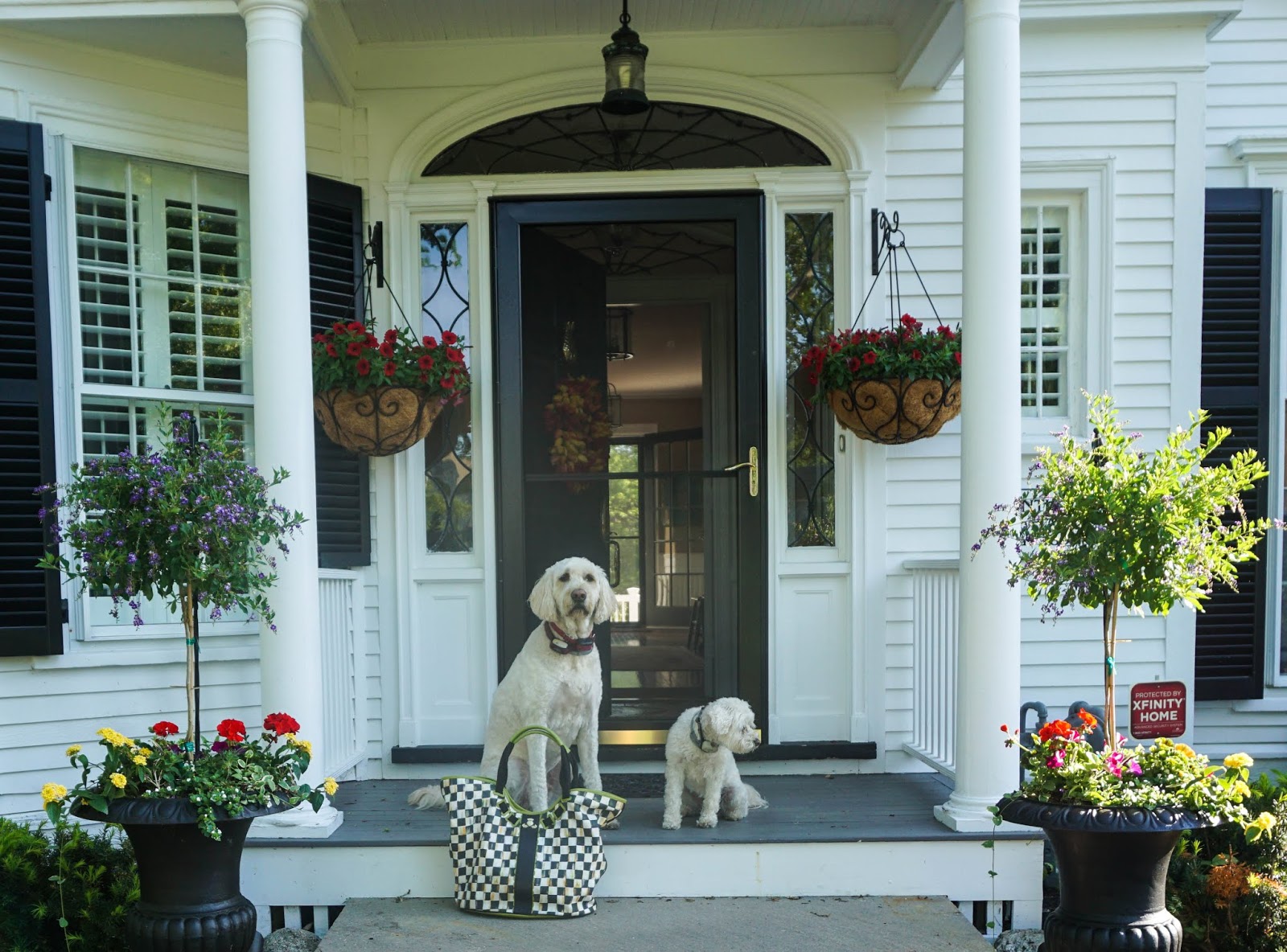 We Have A Winner! - Preppy Empty Nester F