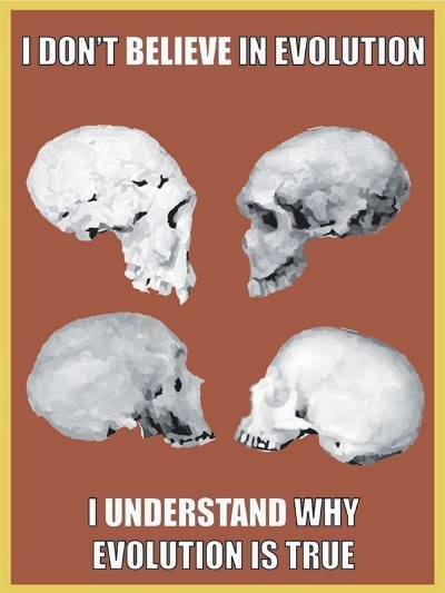 Science, Reason and Logic Rule: Evolution