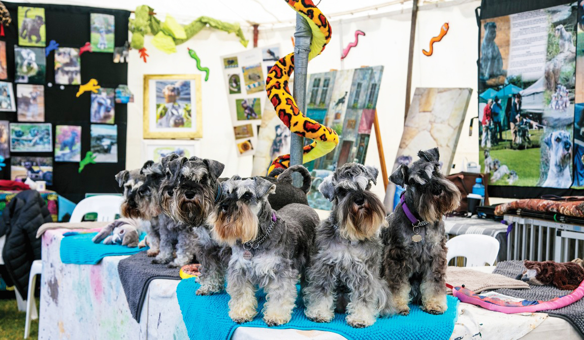 2018 Dogs NSW Dogs on Show - June 16 | Australian Dog Lover
