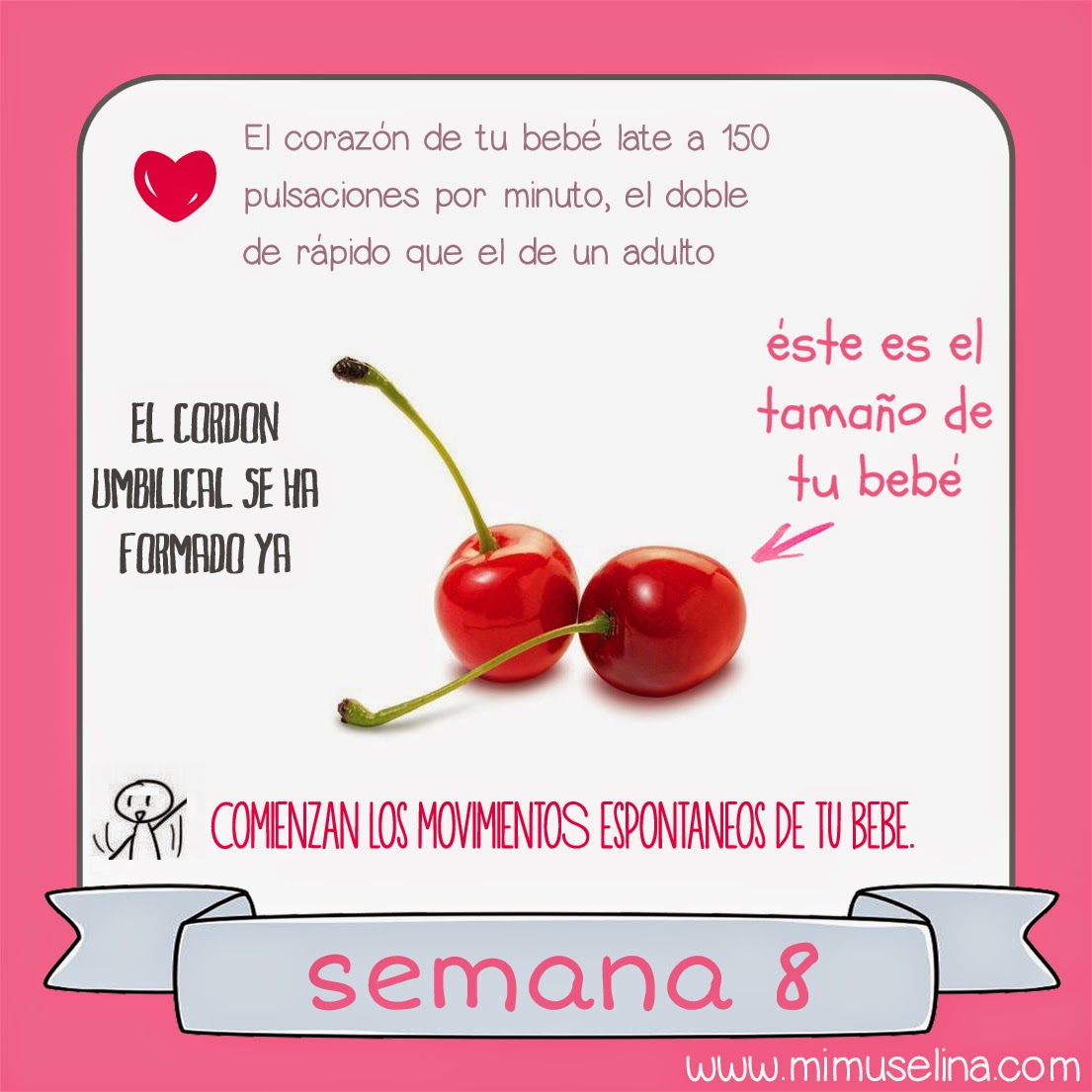 8 Semanas De Gestação Fotos