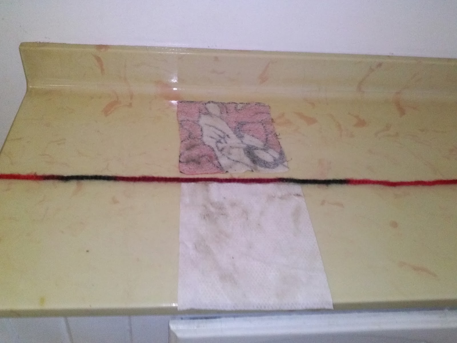 Project: Rainy Day: DIY Project - Clorox Wipes - reusable