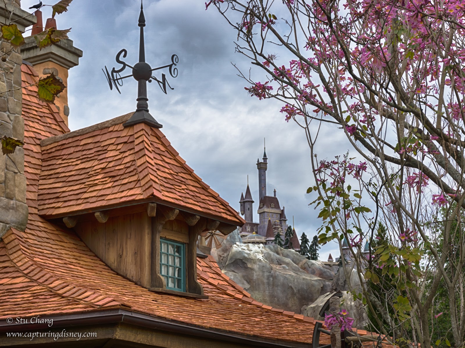 Capturing Disney: Maurice's Cottage