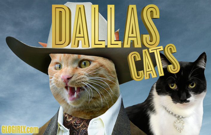 GLOGIRLY: TV Trip: DALLAS CATS
