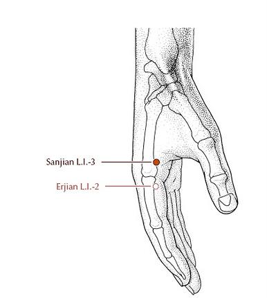 Acupuncture: LI - 3 ( Large Intestine-3)