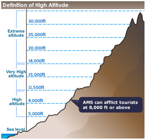 Cal Poly BIO 502: It Literally Takes Your Breath Away