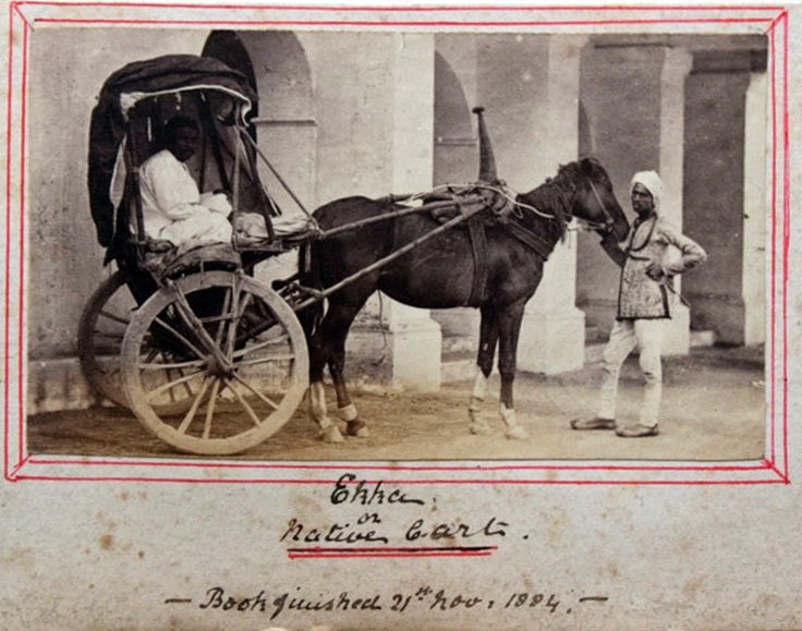 Ekka (Native Horse Carriage) - Vintage Photograph, India 1884 - Old ...
