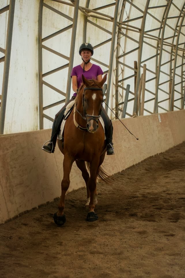 Shouldering the Collected Trot