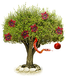 Thoughts of a Simple Citizen: Was the "Forbidden Fruit" really just a ...