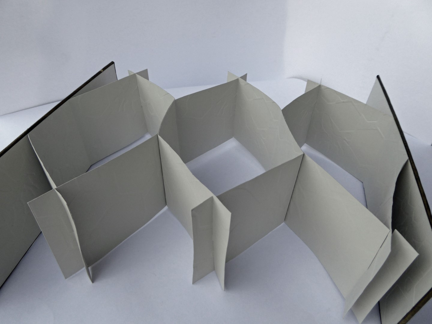 Sandra Pearce: A new Artist Book is 'hatched'