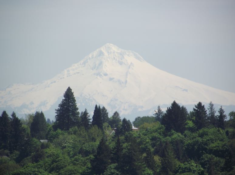 Photograph Journalist: It's a Definite - Spring IS Here!