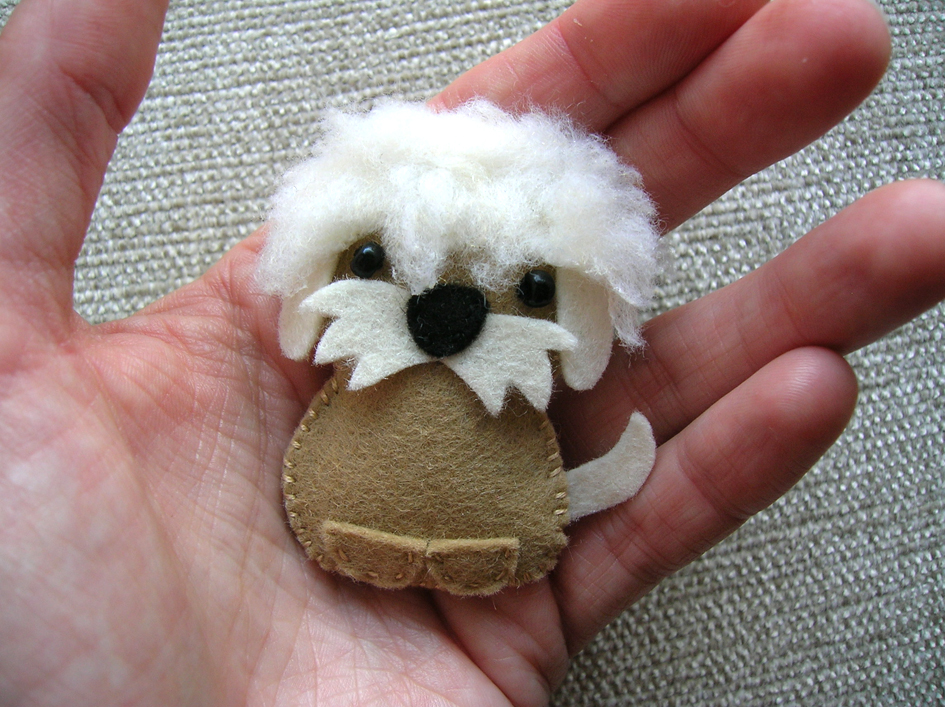 Feltia: Tofi: el perro de Laura / Tofi: Laura's dog