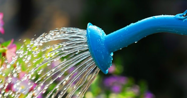 Decoración Fácil: 7 Trucos para regar en vacaciones