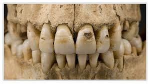 Forensic Pathology: Fun Facts & Other Information