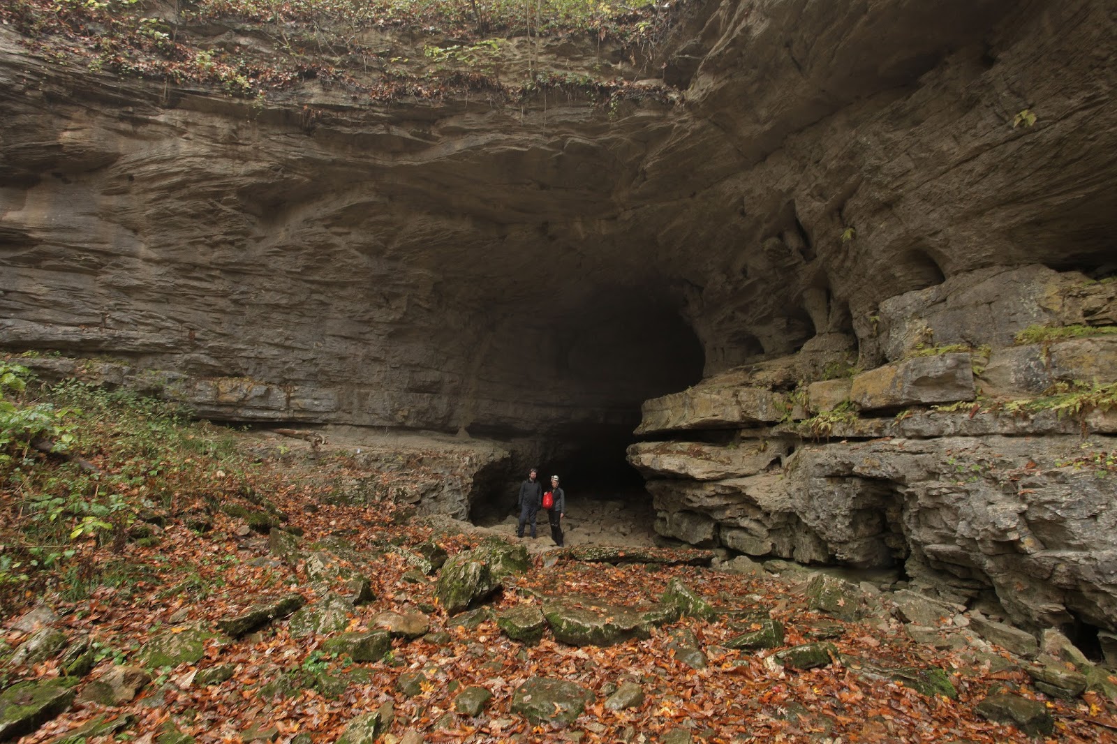 PINE HILL CAVE - ADAM HAYDOCK